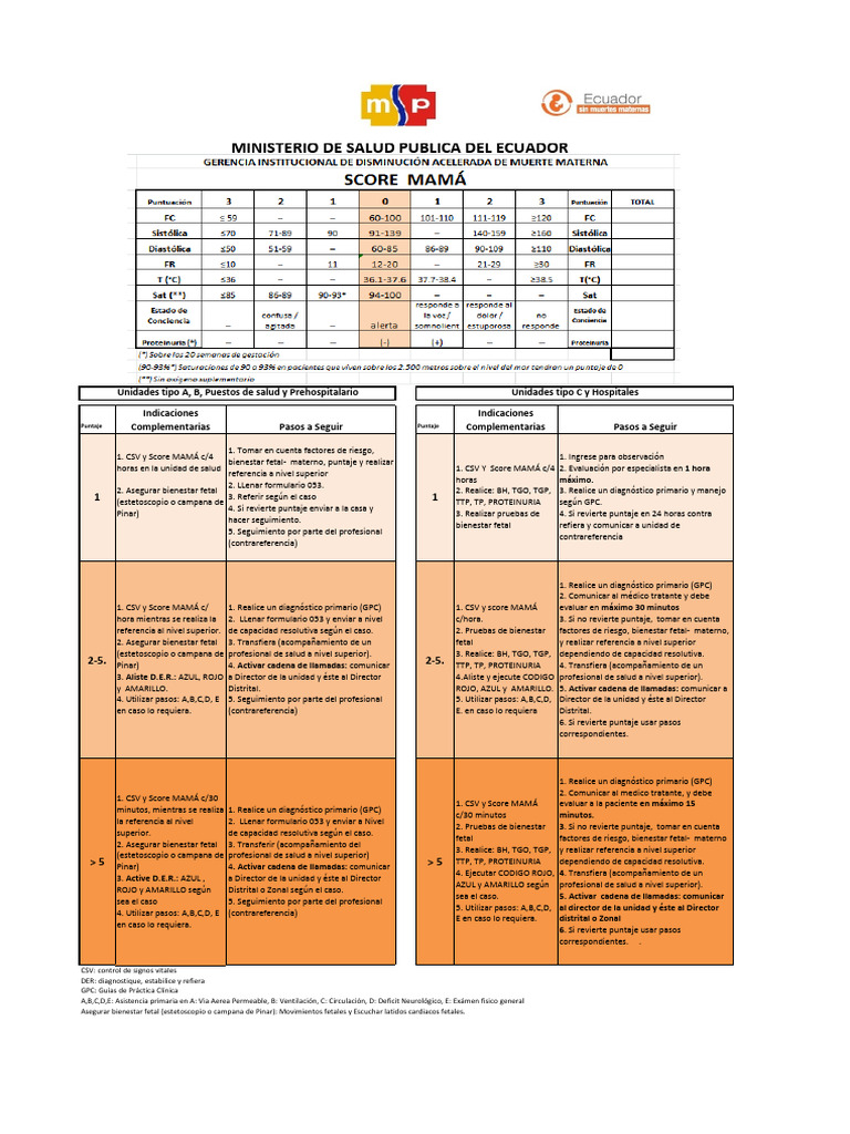 Score Mamá | PDF | Causas de la muerte | Cuidado de la salud