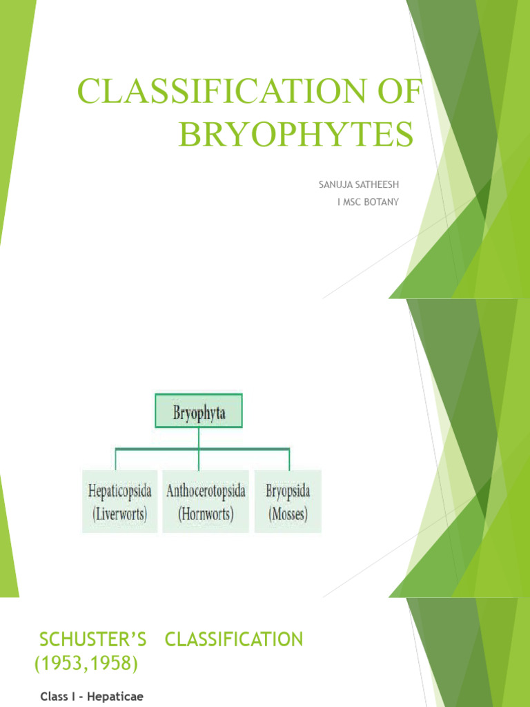 Classification of Bryophytes | PDF | Plants | Botany