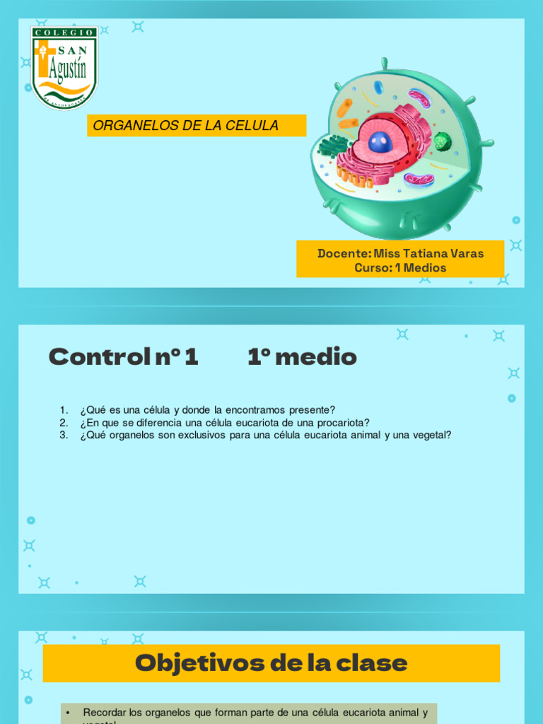 Organelos de la celula 1° medios | PDF | Biología Celular) | Citoplasma