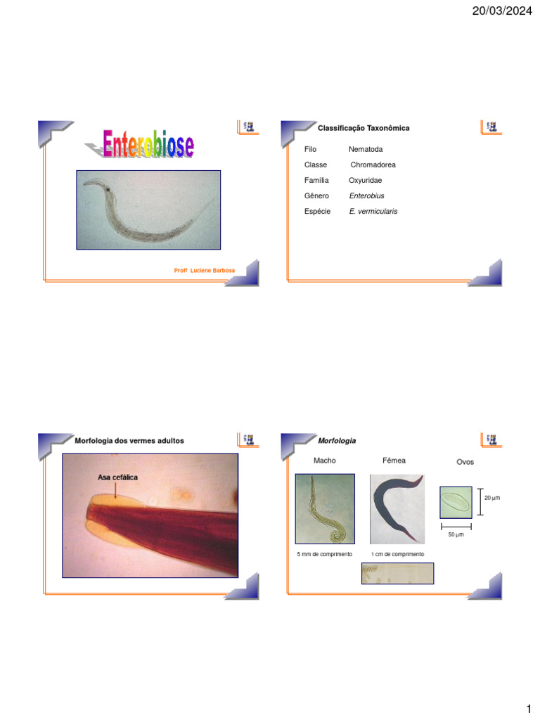 Aula 11 - 21-03-2024 (Enterobiose) | PDF