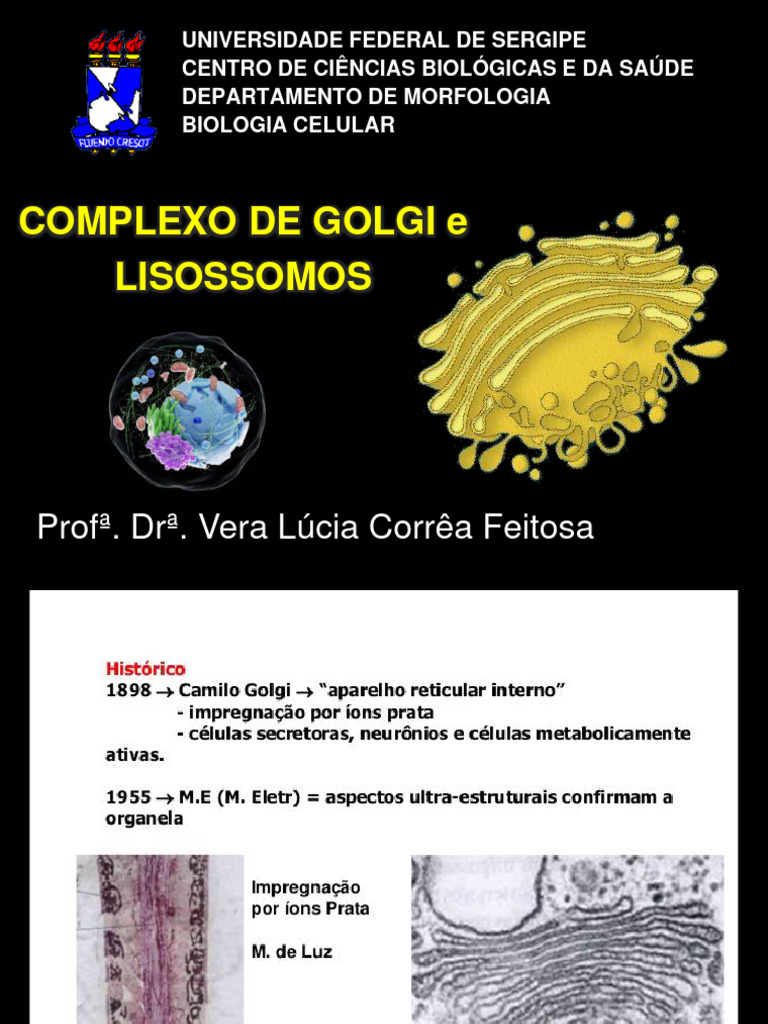 Complexo de Golgi e Lisossomos | PDF | Vesícula (Biologia e Química) | Lisossoma