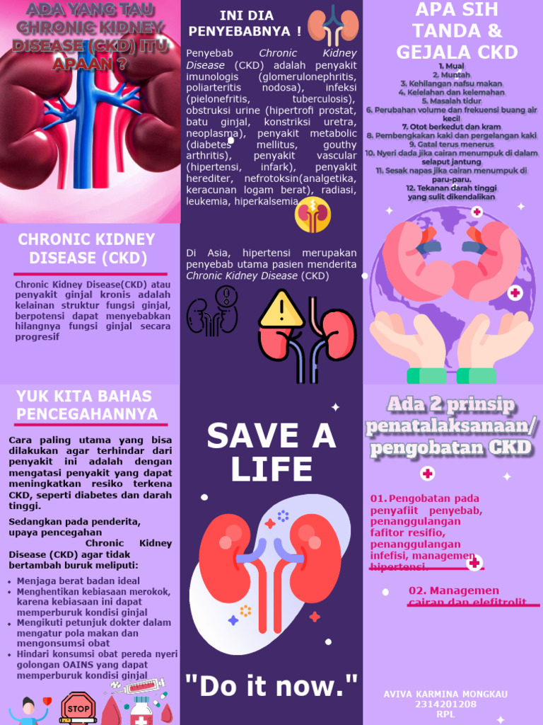 Leaflet CKD | PDF