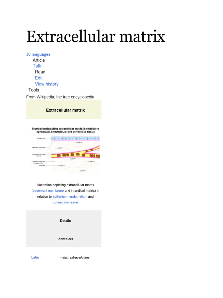 Extracellular Matrix | PDF | Extracellular Matrix | Cell Biology