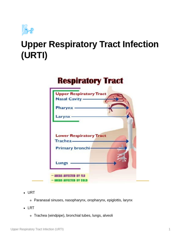 8 - Upper Respiratory Tract Infection (URTI) | Download Free PDF ...