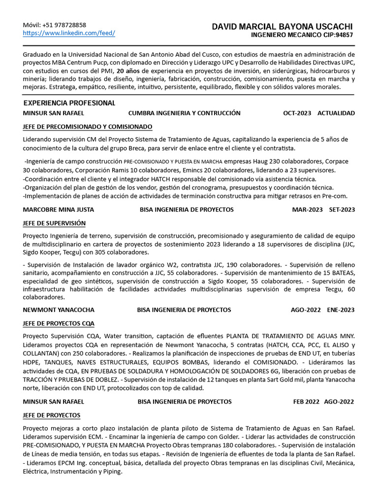 Perfil Profesional de David Bayona | PDF | Ingeniería