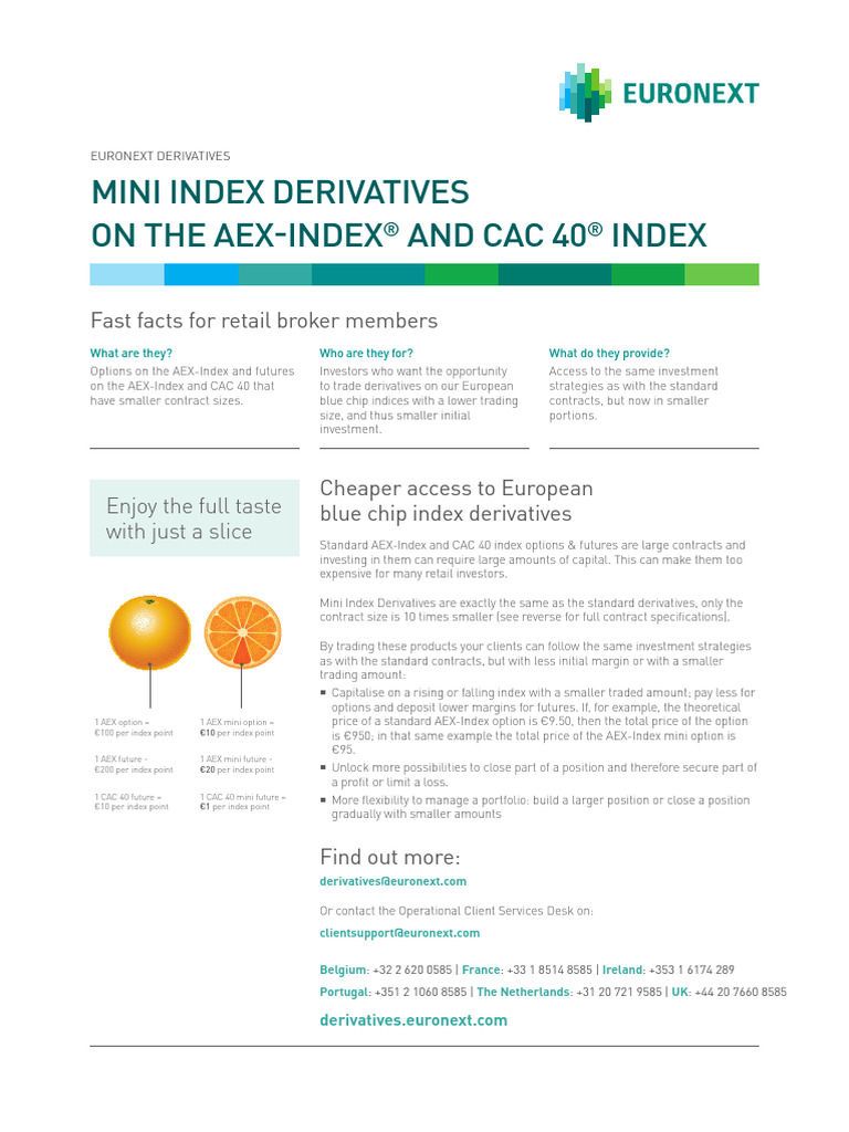 Derivatives-Mini-Index Factsheet | PDF | Futures Contract | Option ...