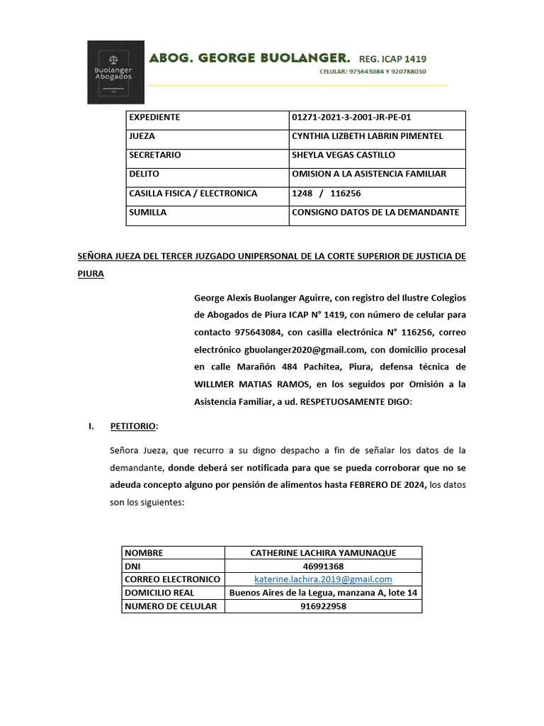 Consigno Datos de La Demandante | PDF