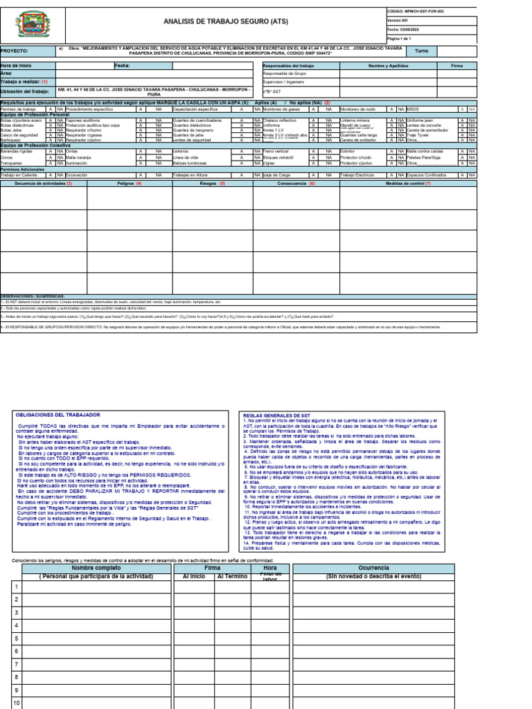 Formato ATS para Seguridad Laboral | PDF
