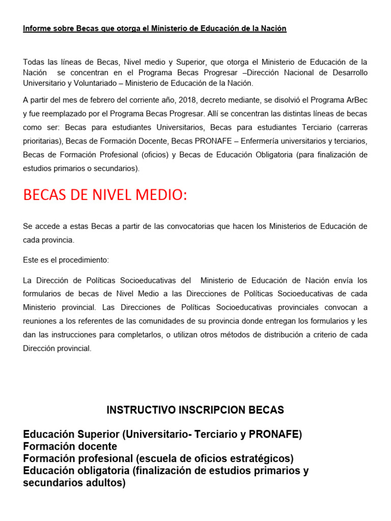 Informe Becas para Bea | PDF | Educación más alta | Educación primaria