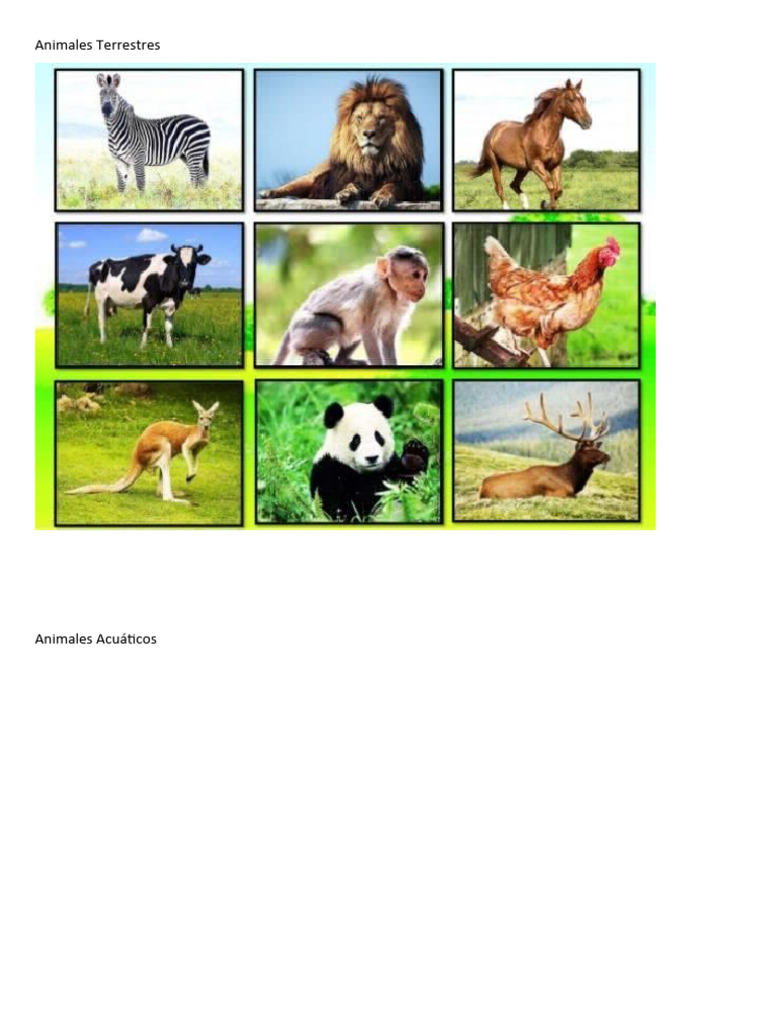 Animales Terrestre y Acuaticos | PDF