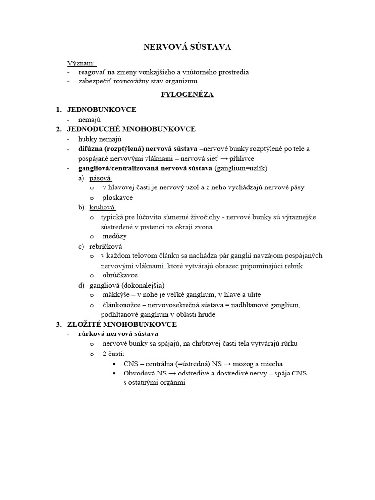 NERVOVÁ SÚSTAVA Fylogenéza | PDF