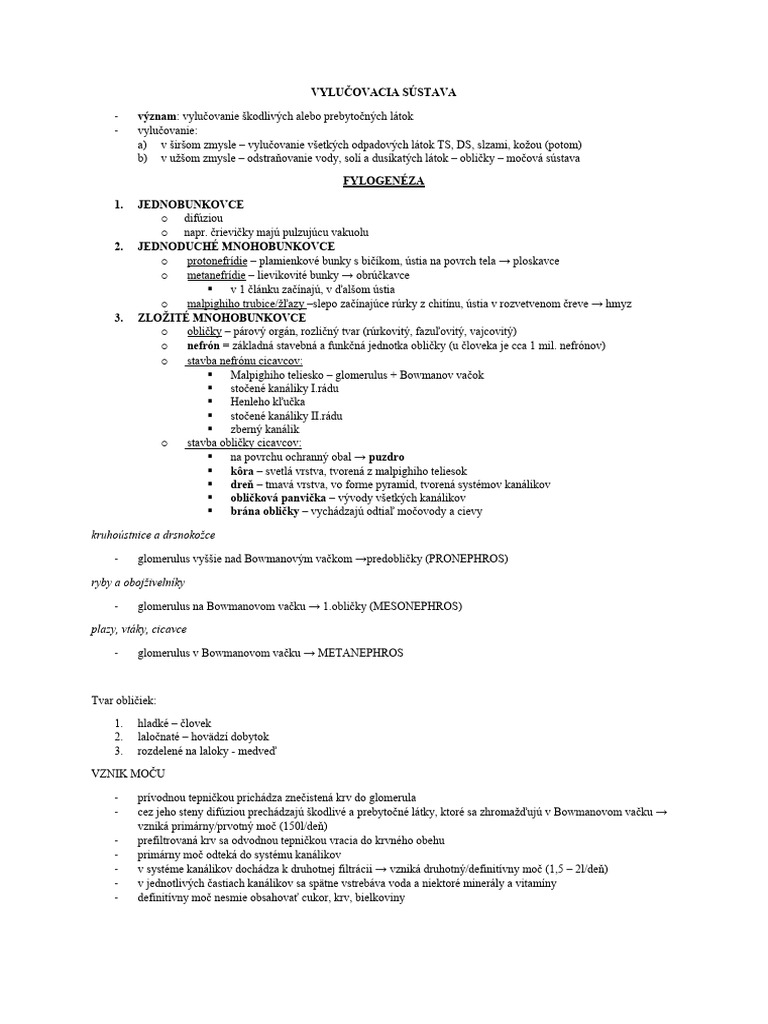 Vylučovacia Sústava | PDF