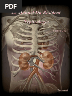 Vascularisation Du Tube Digestif Et Annexes | PDF | Pancréas | Rate