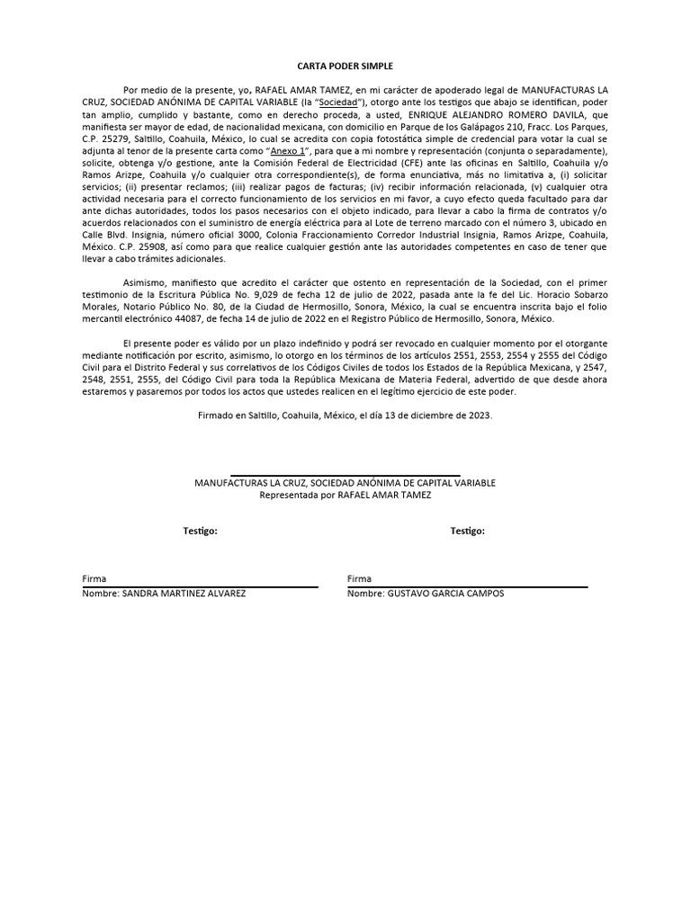 Carta Poder Simple para CFE | PDF | México