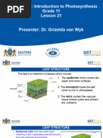Grade 11 Life Sciences Remote Learning Guide | PDF | Cellular ...