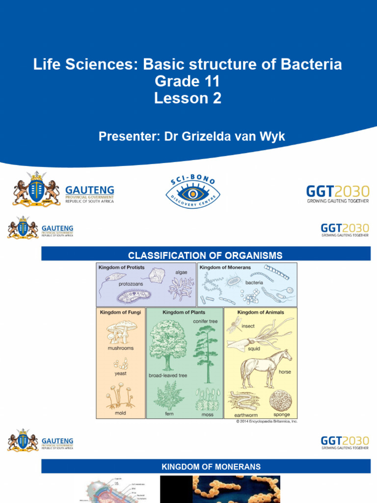 Life Sciences Gr.11 Lesson 2 Basic Structure of Bacteria | PDF ...