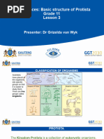 Life Science Grade 11 Term 3 Notes | PDF | Kidney | Urine