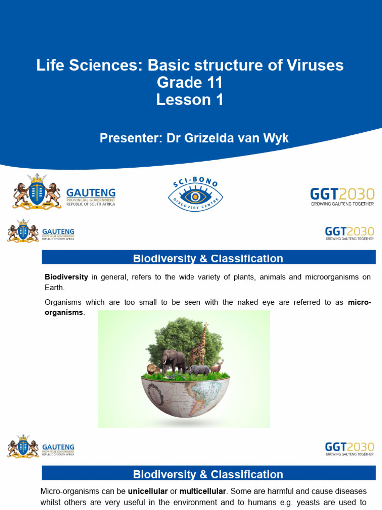 Life Sciences Gr.11 Lesson 1 Basic Structure of Viruses | Download Free PDF | Virus | Cell (Biology)
