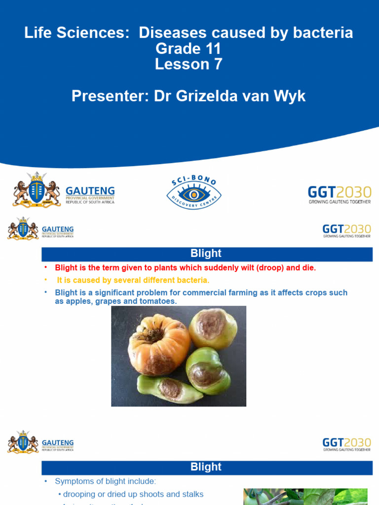 Life Sciences Gr.11 Lesson 7 Diseases Caused by Bacteria | PDF ...