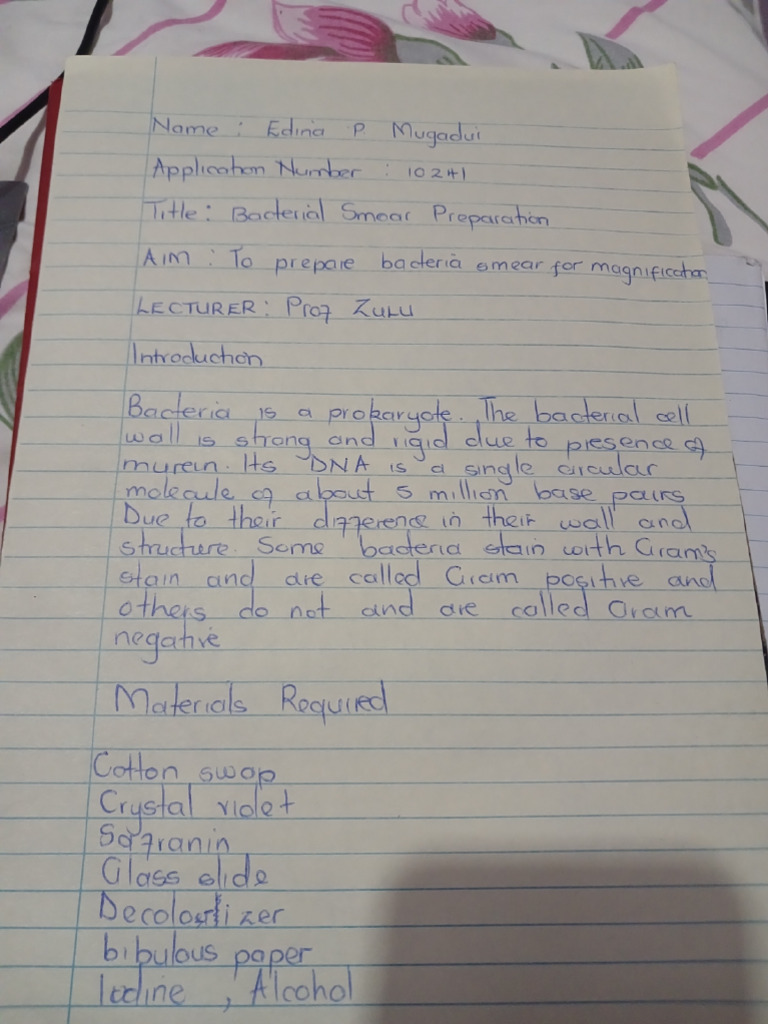 Bacterial Smear Pdf