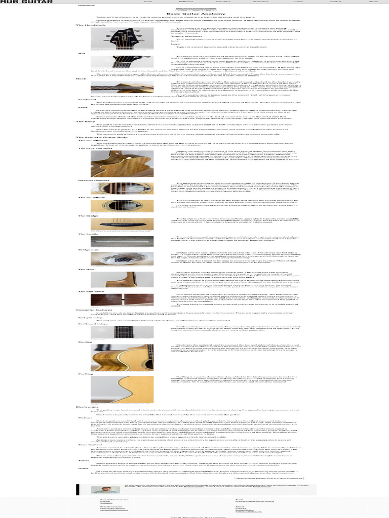 Basic Guitar Anatomy - Hub Guitar | Download Free PDF | Guitars ...