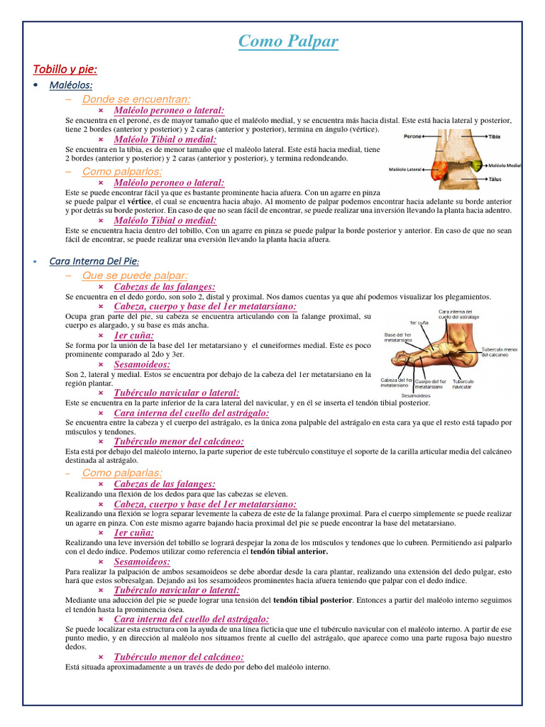 Como Palpar Terminado | PDF | Mano | Anatomía humana