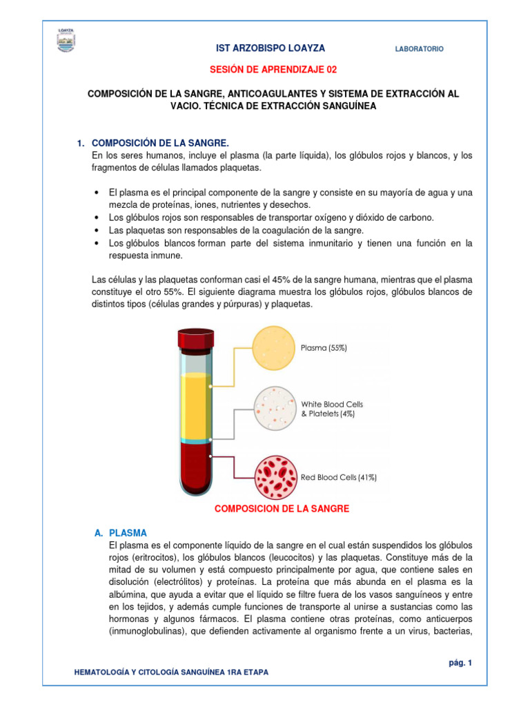 Sesión de Aprendizaje N°02 | PDF | Leucocito | Sangre