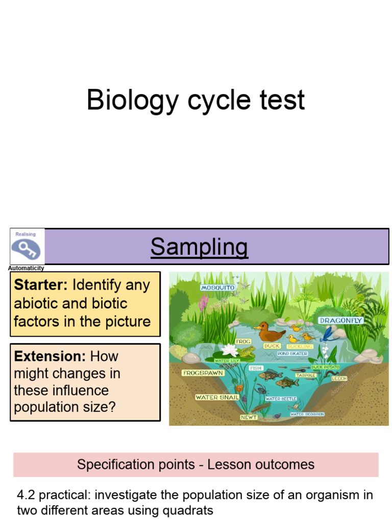 Sampling | PDF | Sampling (Statistics) | Ecosystem