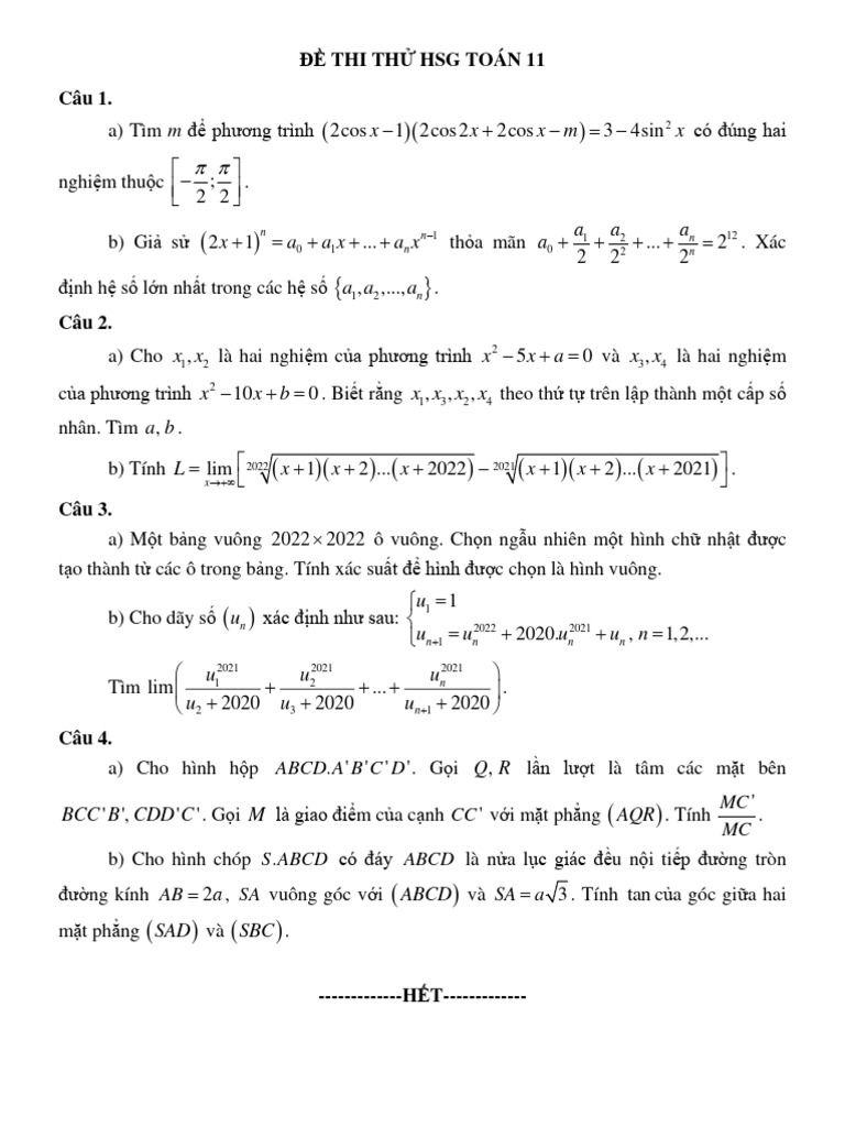 ĐỀ THI THỬ HSG 11 | PDF