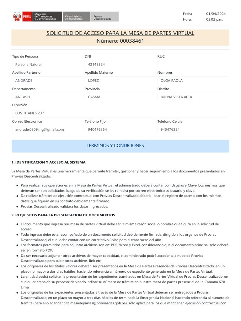 Formato Solicitud | PDF | Computación en la nube | Archivo de computadora