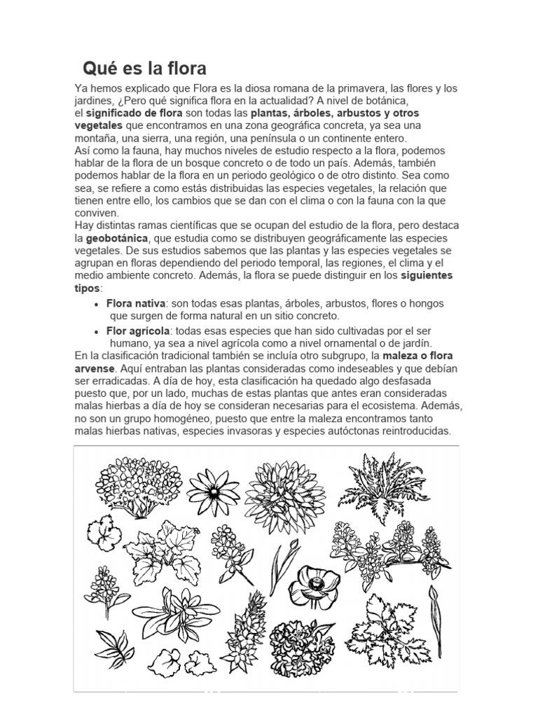 Concepto de Flora y Fauna | Descargar gratis PDF | Fauna | Fauna silvestre
