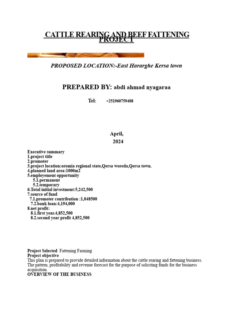 Abdi Ahmad Nyagaraa | PDF | Cattle | Balance Sheet