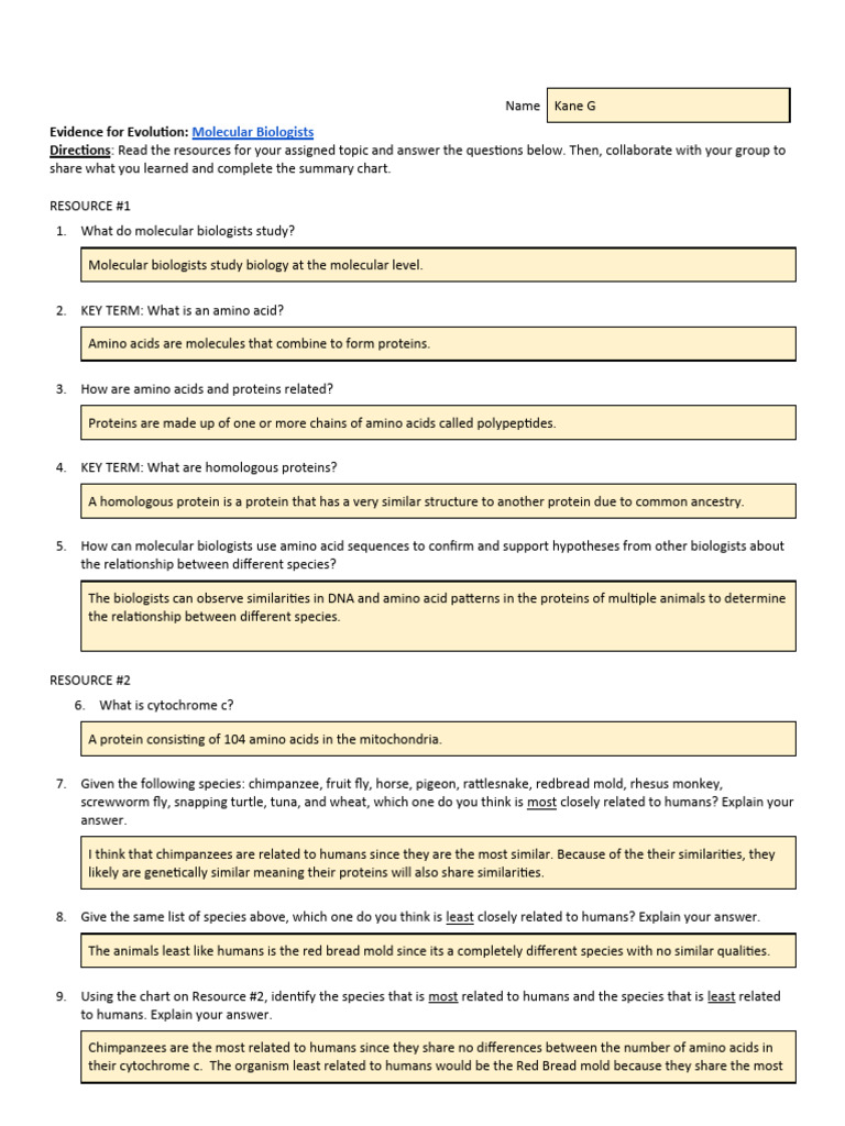 Evidence For Evolution Jigsaw - Molecular Biologists | PDF | Proteins ...