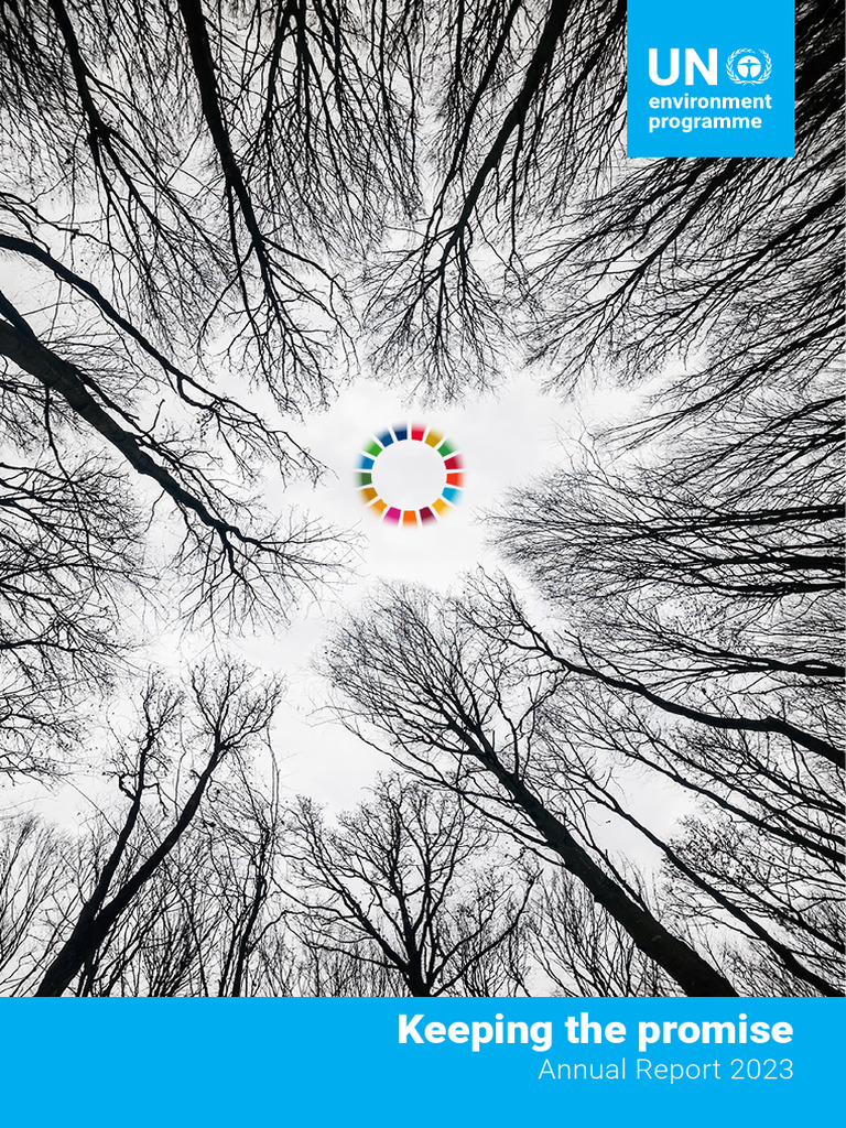 UNEP Annual Report 2023: Climate Action Insights | PDF | United Nations ...