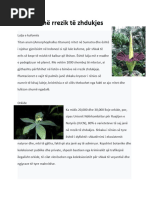 Biologji Riprodhimi Te Shtazët L.H | PDF