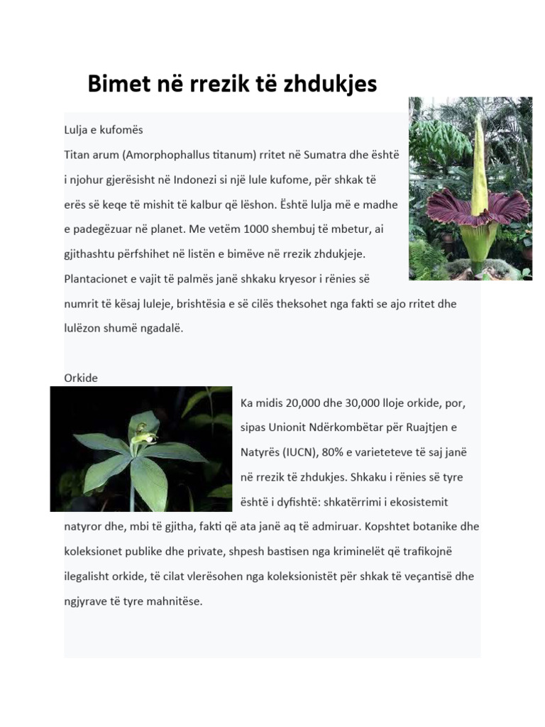 Bimet Në Rrezik Të Zhdukjes | PDF