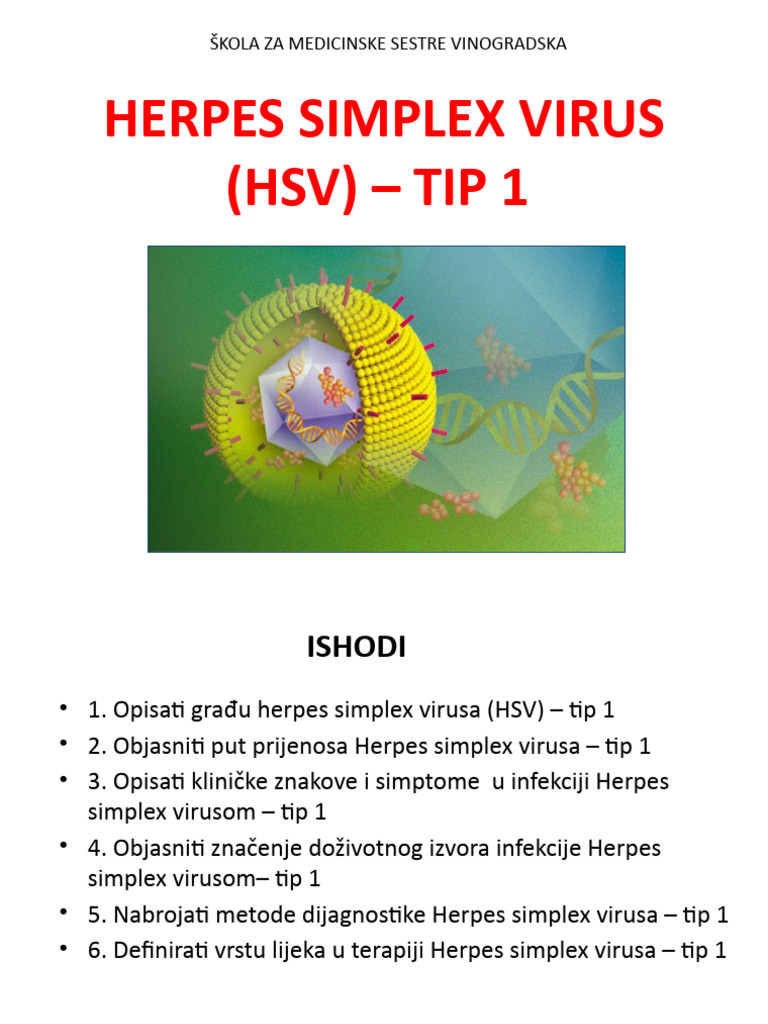 Herpes Simplex Virus Tip 1 - HSV 1 - 2024 | PDF