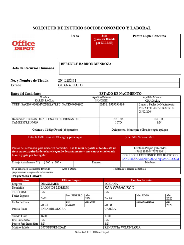 Ese - Estudio Socioeconomico Suc-204 2 | PDF