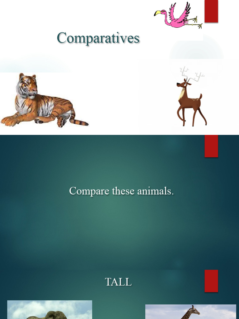 Comparatives Animals Warmers Coolers - 98709 | PDF | Zoology
