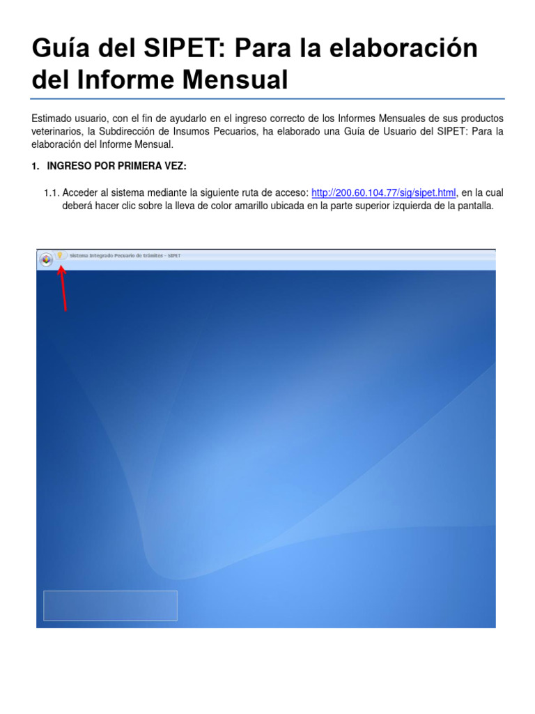 Guía SIPET para Informes Mensuales | PDF | Software del sistema | Software