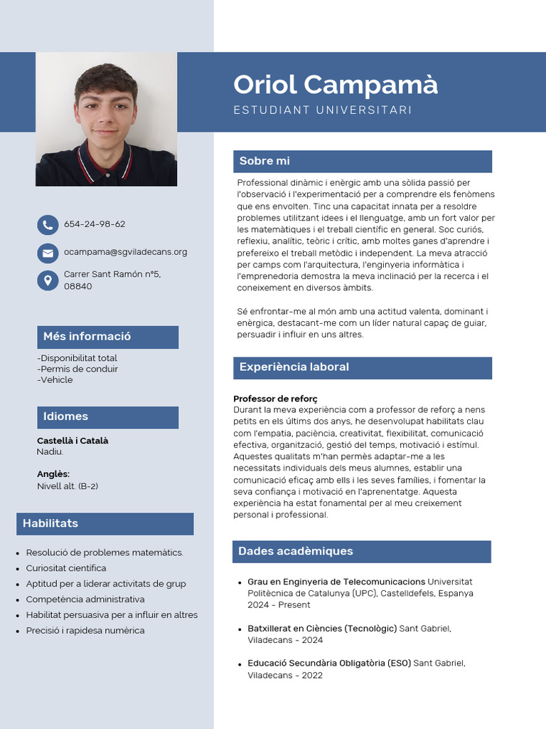 Currículum Ejemplo | PDF