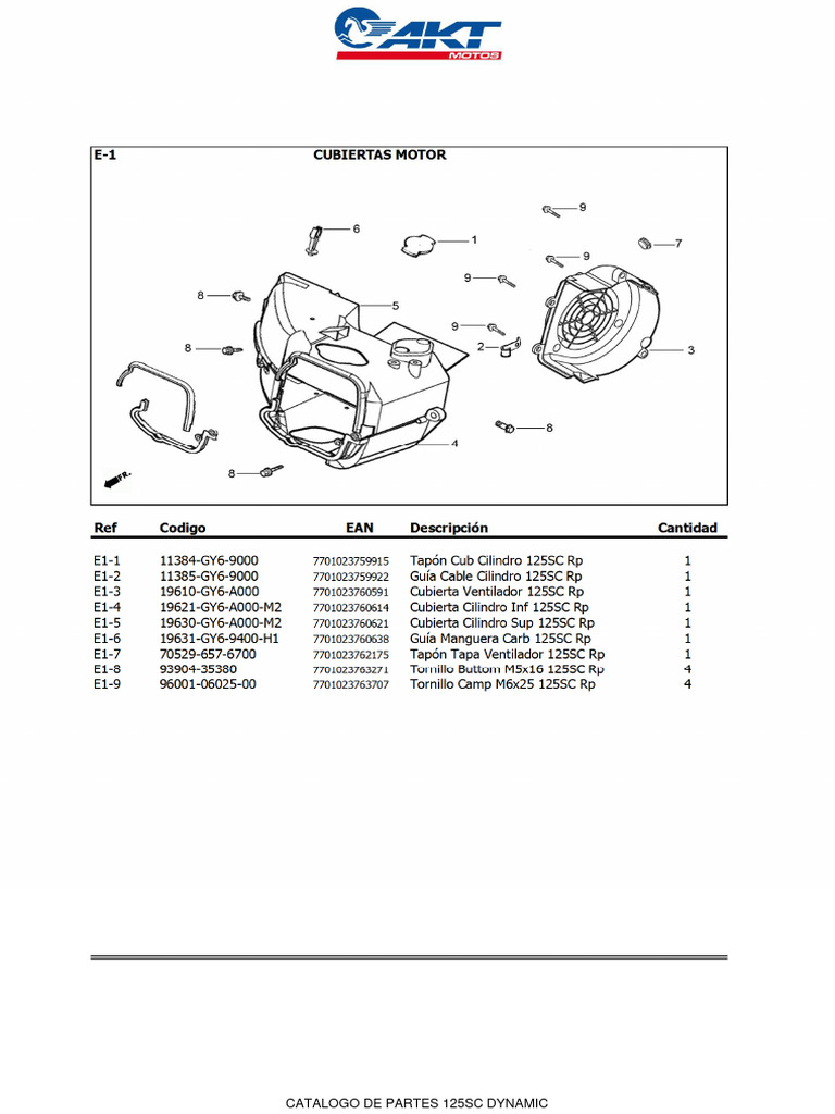 AKT Dynamic | PDF