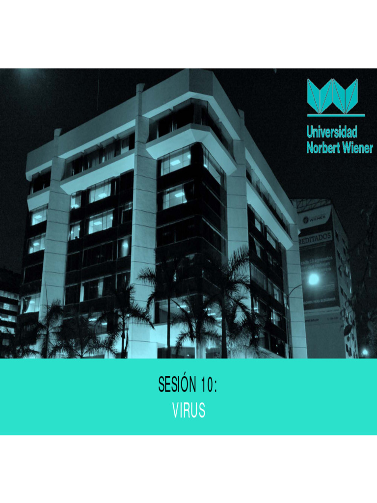 VIRUS/ADN | PDF | Hepatitis | Virus