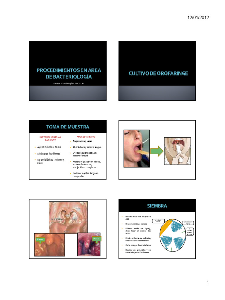 Clase I Orofaringe | PDF | Estreptococo | Microbiología
