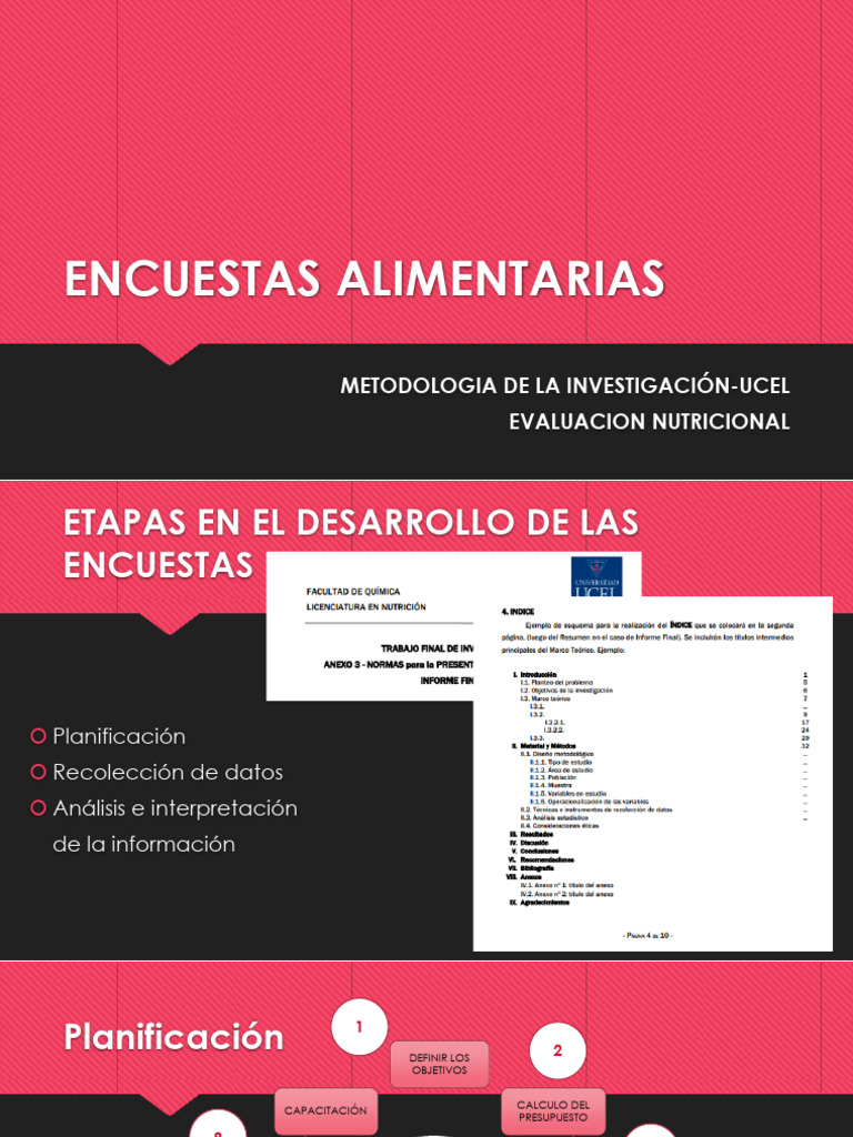 Encuestas Alimentarias | Descargar gratis PDF | Metodología de encuesta | Investigación de mercado