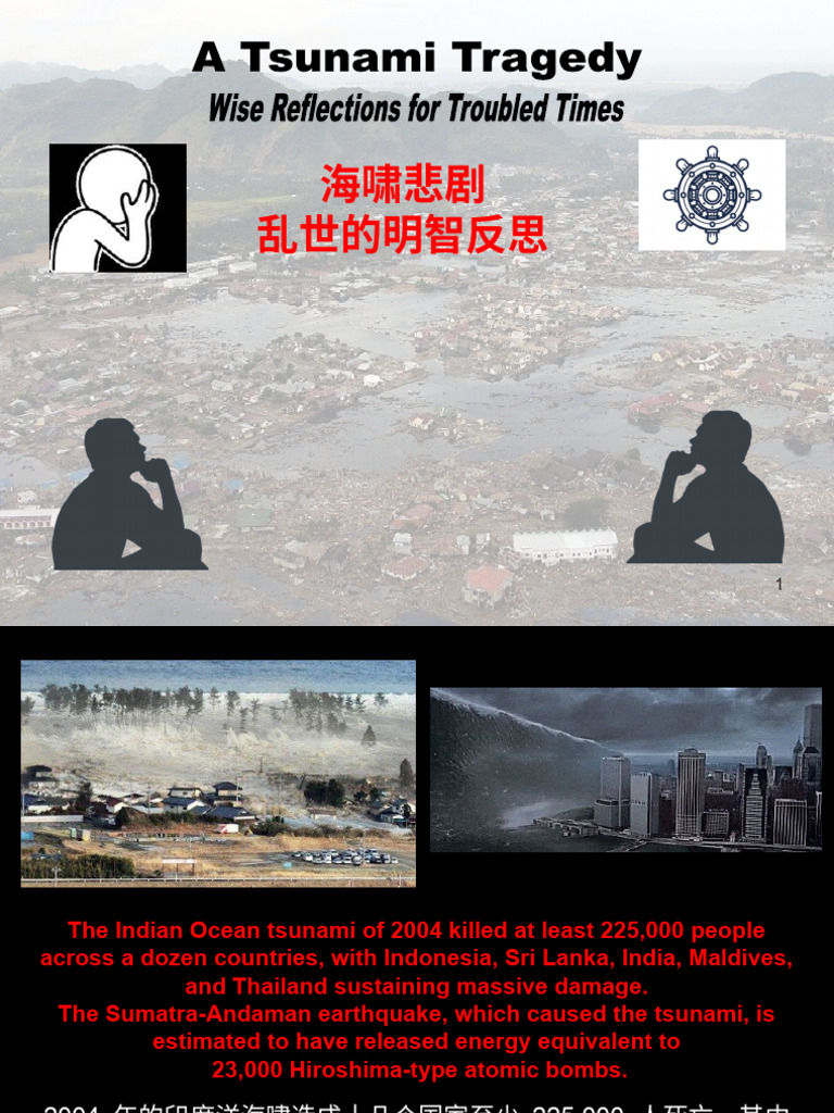 A Tsunami Tragedy Wise Reflections For Troubled Times (Eng. & Chi.) | PDF | Buddhist ...