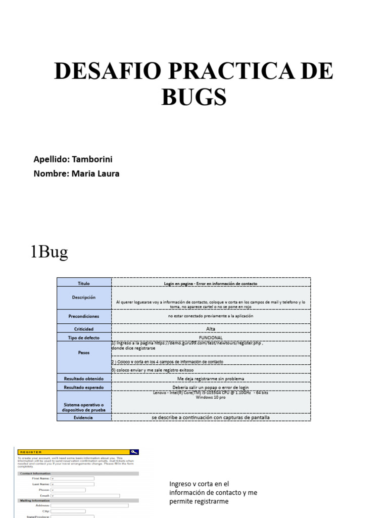 Desafio Practica de Bugs | PDF | Contraseña | Windows 10