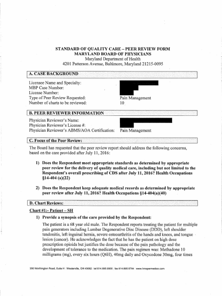 Sample Peer Review Report | PDF