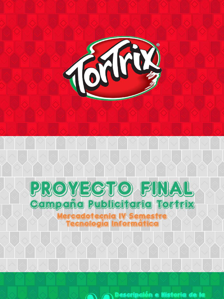 PROYECTO FINAL TORTRIX | PDF