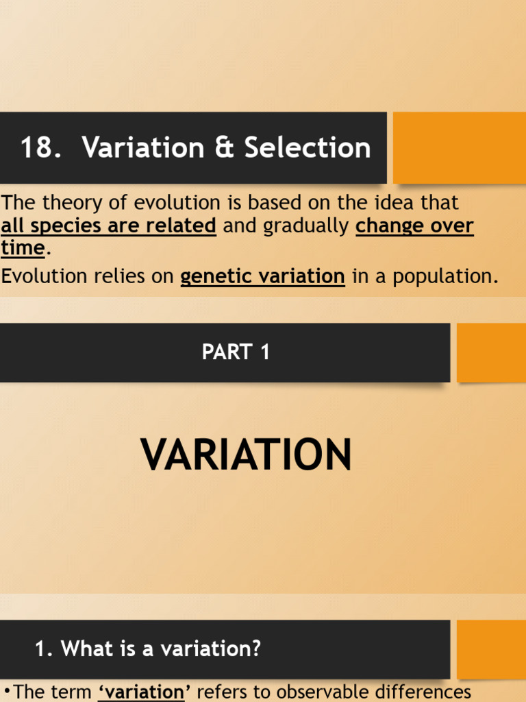 Evolution | PDF | Sexual Reproduction | Genetic Variation